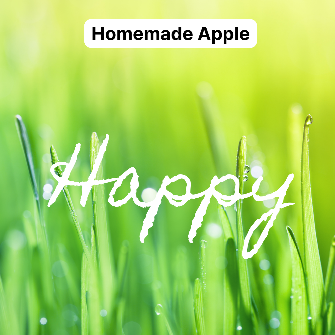 20 ฟอนต์ออกแบบ ในโปรแกรม Canva ใช้แล้วปังทุกงาน | FAST TACKS